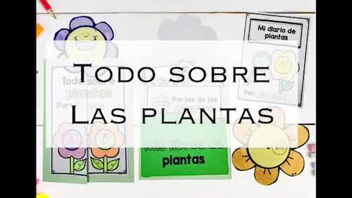 LAS PLANTAS: Ciclo de vida, partes y necesidades | Plants Life Cycle in ...