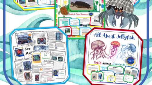 Marine Biology Ocean Science NGSS Aligned Bundle by Mrs Lena | TPT