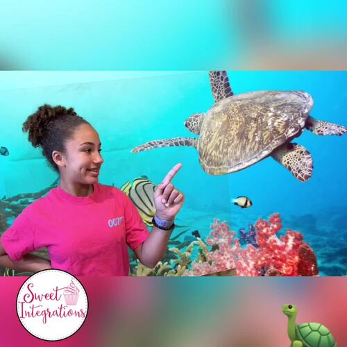 Sea Turtles - Project Based Learning Science - Conservation Activities
