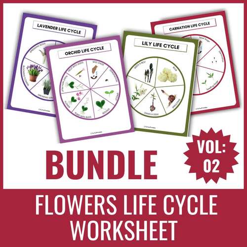Flowers Life Cycle Bundle Vol: 02: Daisy, Orchid, Carnation, Lavender, Lily