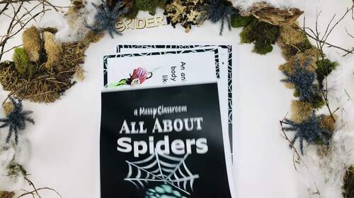 Spider Arachnid Diversified Nonfiction Lesson Text Feature Scavenger ...