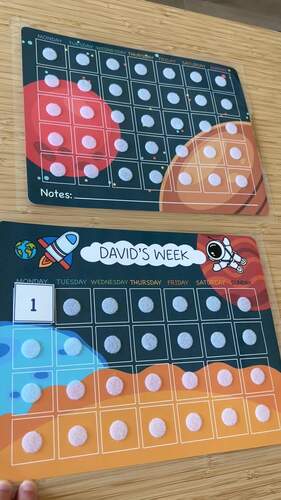 Editable Morning, Evening Routine Chore Chart Daily Visual Schedule ...