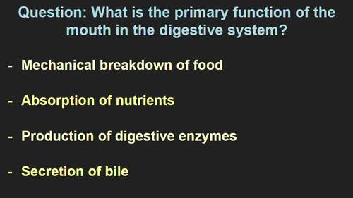 Bundle: Test Review | Anatomy & Physiology NO-PREP Google Slides™ Test