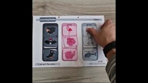 Color Sorting Learning File Folder Games Toddler Preschool Binder Centers