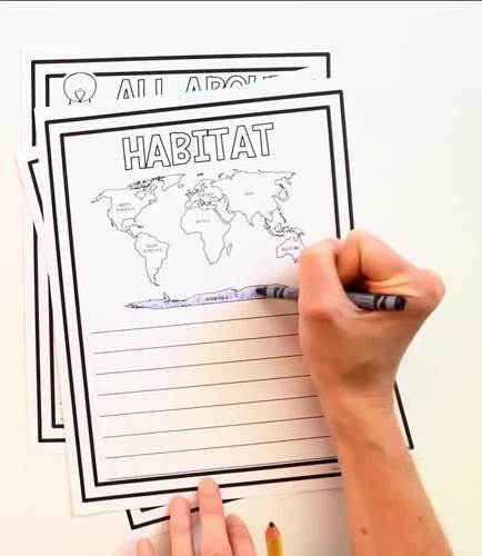 Penguins Nonfiction Writing Pages - Informational Book or Writing Templates