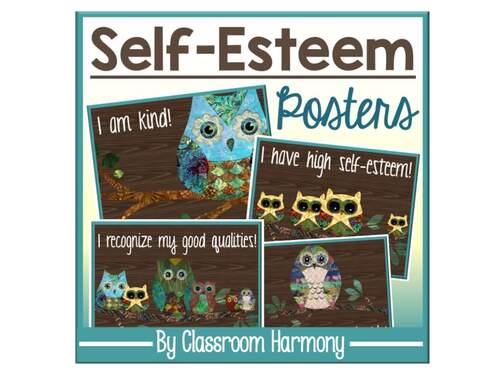 Positivity Posters / Self-Esteem Posters - Owl and Confidence (SEL) Themed
