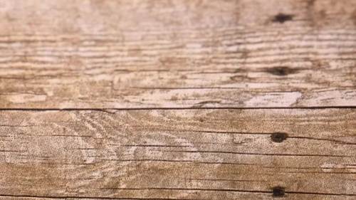 Charlotte's Web Story Elements & Summary Lesson with Instant Bulletin Board