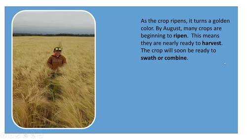 Grade 4 Social Studies Farming in Saskatchewan Powerpoint RW4.2