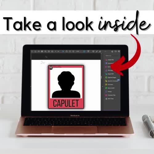 Romeo and Juliet Character Analysis BUNDLE for a Character Chart, Map ...