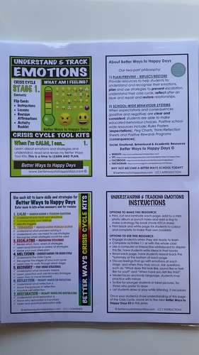 UNDERSTAND AND TRACK EMOTIONS - Visual Lesson Flip Cards | TPT