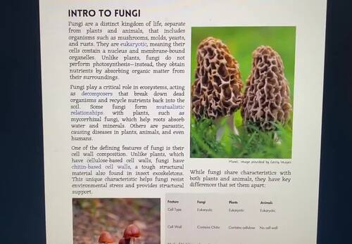 Fungi Biology Environmental Science unit, sub plans, decomposers, symbiosis