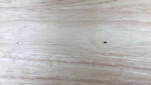 Kamala and Maya's Big Idea by Meena Harris - Book Study by Galarious Goods