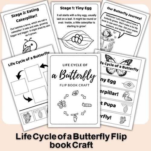 Butterfly Life Cycles Cut and Paste | Life cycle of a butterfly worksheet