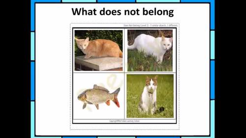 What Does Not Belong Level 2 Flash Task Slides with Real Images. GOOGLE ...