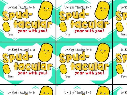 Potato Chips/ Pringles Beginning of Year (BOY) Gift Tag-This year is ...