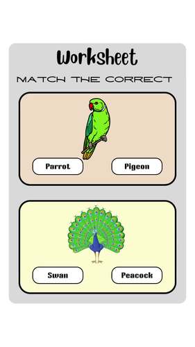 Identification of the Animals and Match the correct. by Hanz Creations