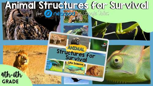 Animal Structures | Adaptations for Nearpod in Google Slides by Braided ...