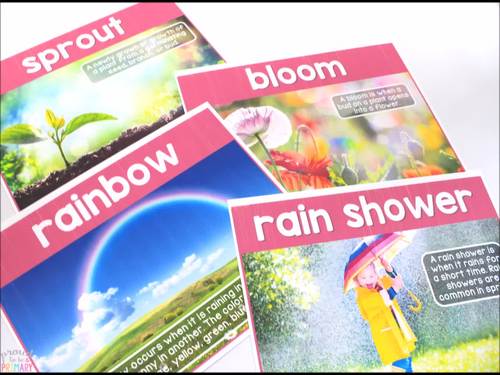 Spring Season Science - Reading & Writing Activities - Bird, Plant, Ladybug