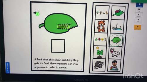 Food Chain Adapted Book Boom Cards by Where I AUT-a Be | TPT