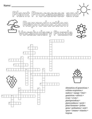 Plant Processes and Reproduction Vocabulary Crossword Puzzle | TPT