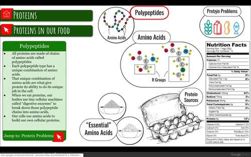 Biology Interactive Diagrams: Unit 2 Biochemistry by Science With Mrs Lau