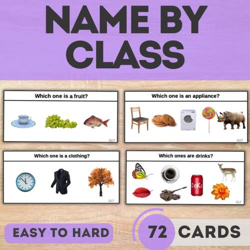 NAME BY CLASS 72 Category Task Cards Autism Sped Speech Therapy ABLLS ...
