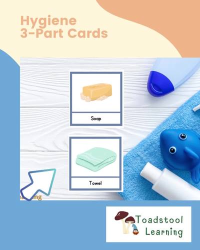Montessori 3 Part Matching Cards: Persona Hygiene by Toadstool Learning