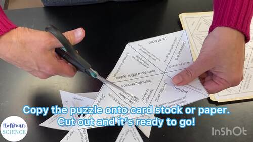 Biology Hands-On Vocabulary Activity Tarsia Puzzle #2 by Hoffman Science