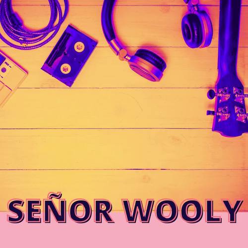 Señor Wooly Video Guide Bundle by Spanish Star | TPT