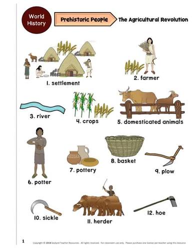 ESL World HIstory Agricultural Revolution Vocabulary & Content ...