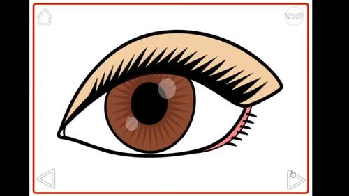 Parts of Body (ARABIC) | Boom Cards | Special Ed, Preschool & Arabic