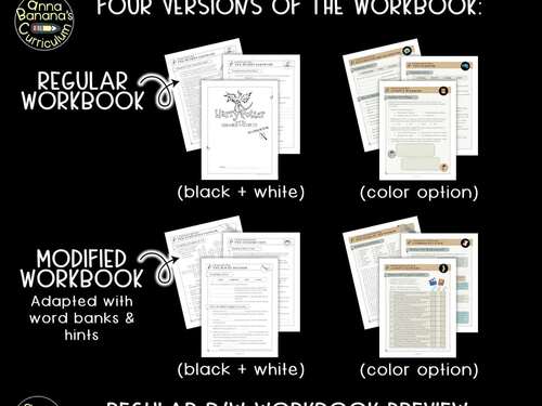 HARRY POTTER and the CHAMBER OF SECRETS WORKBOOK: Print Novel Study