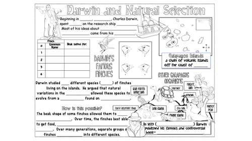 Darwin and Natural Selection Doodle Notes & Quiz by Black-Eyed Susan ...