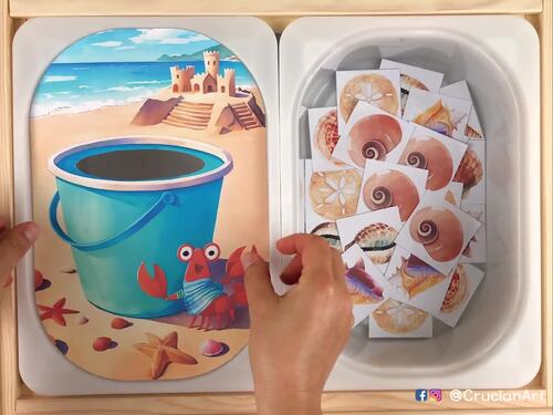 Seashell Flisat Insert: Summer Beach Theme Match & Count up to 12 Activity