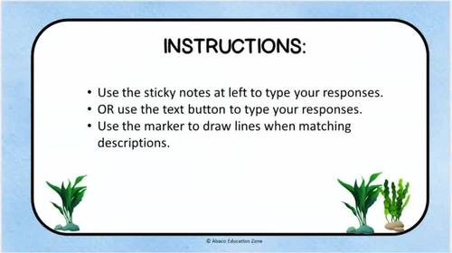 Food Chains and Food Webs Digital Google Slidesᵀᴹ Activity | TPT