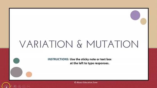 Variation and Mutation Digital Google Jamboardᵀᴹ + Google Slidesᵀᴹ Activity