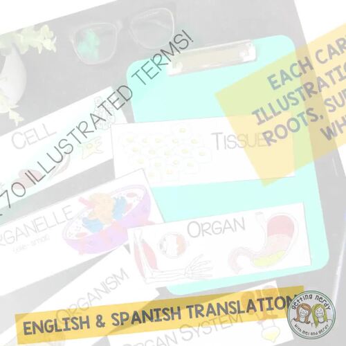 Cells | Cell Processes | Illustrated Word Wall PLUS Word Roots ...