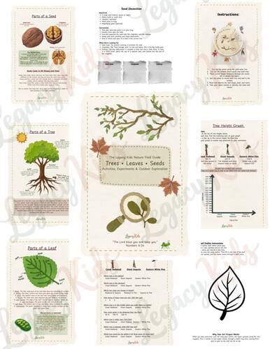 Trees, Leaves & Seeds Nature Study | Posters, Activities & Tree ID Spinner
