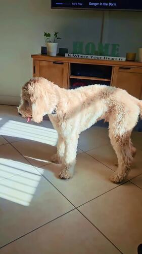 Boho Rainbow Speech Room Posters | Motivational Posters | Classroom Decor