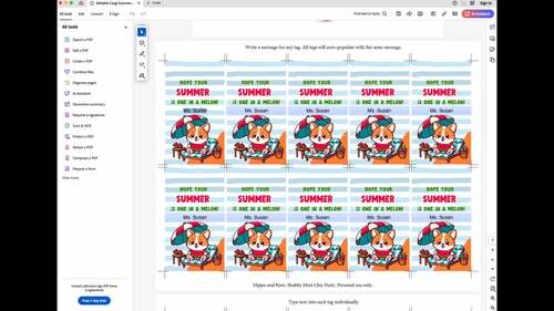 Editable End of Year Gift Tags from Teacher to Students - Summer Gift Tags