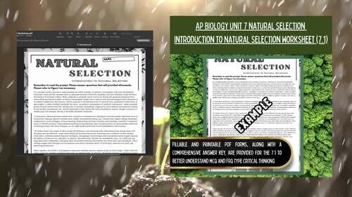 AP Biology UNIT 7 Natural Selection 7.1 Natural Selection Introduction ...