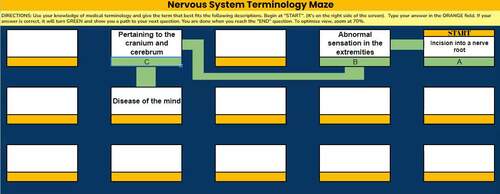 Nervous System Terminology Digital Google Sheetsᵀᴹ Maze and Print Activity