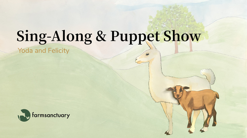 Yoda and Felicity: A Farm Sanctuary Sing-Along & Puppet Show (video)