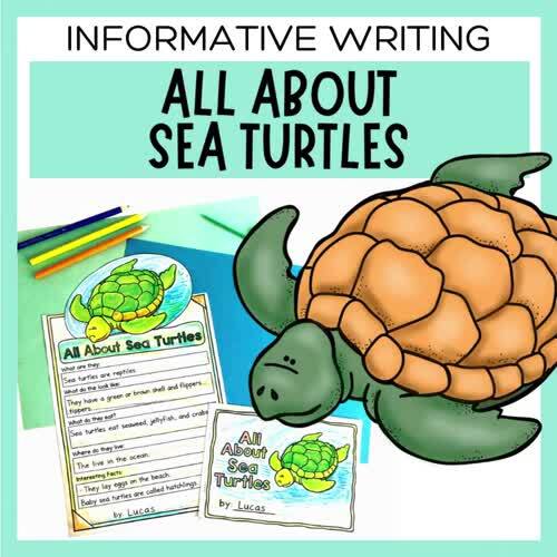 All About Sea Turtles | Ocean Animal Research Worksheets | Nonfiction ...