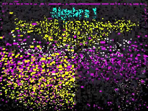 Algebra 1 Florida BEST Semester 1 Practice Worksheets Bundle by Math Lion