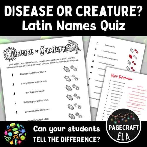 Latin Names - Disease or Creature? Inclusive Printable Quiz for All Seasons