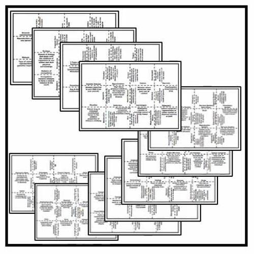 Ecology Vocabulary Activity BUNDLE, Life Science Curriculum Puzzles