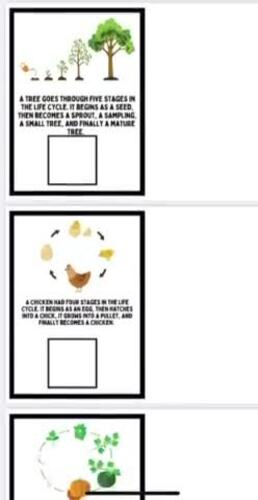 Special Education Science Bundle: Adapted Books and Task Box Activity ...