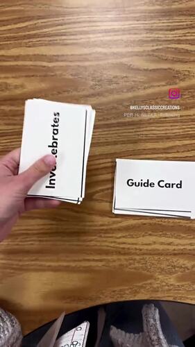 Grab It! ELA Reading 3rd Grade Fiction Review Game Florida Benchmarks ...