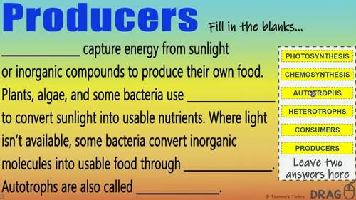 Ecology: Energy Flow ~Interactive Digital Resource for Google Drive~